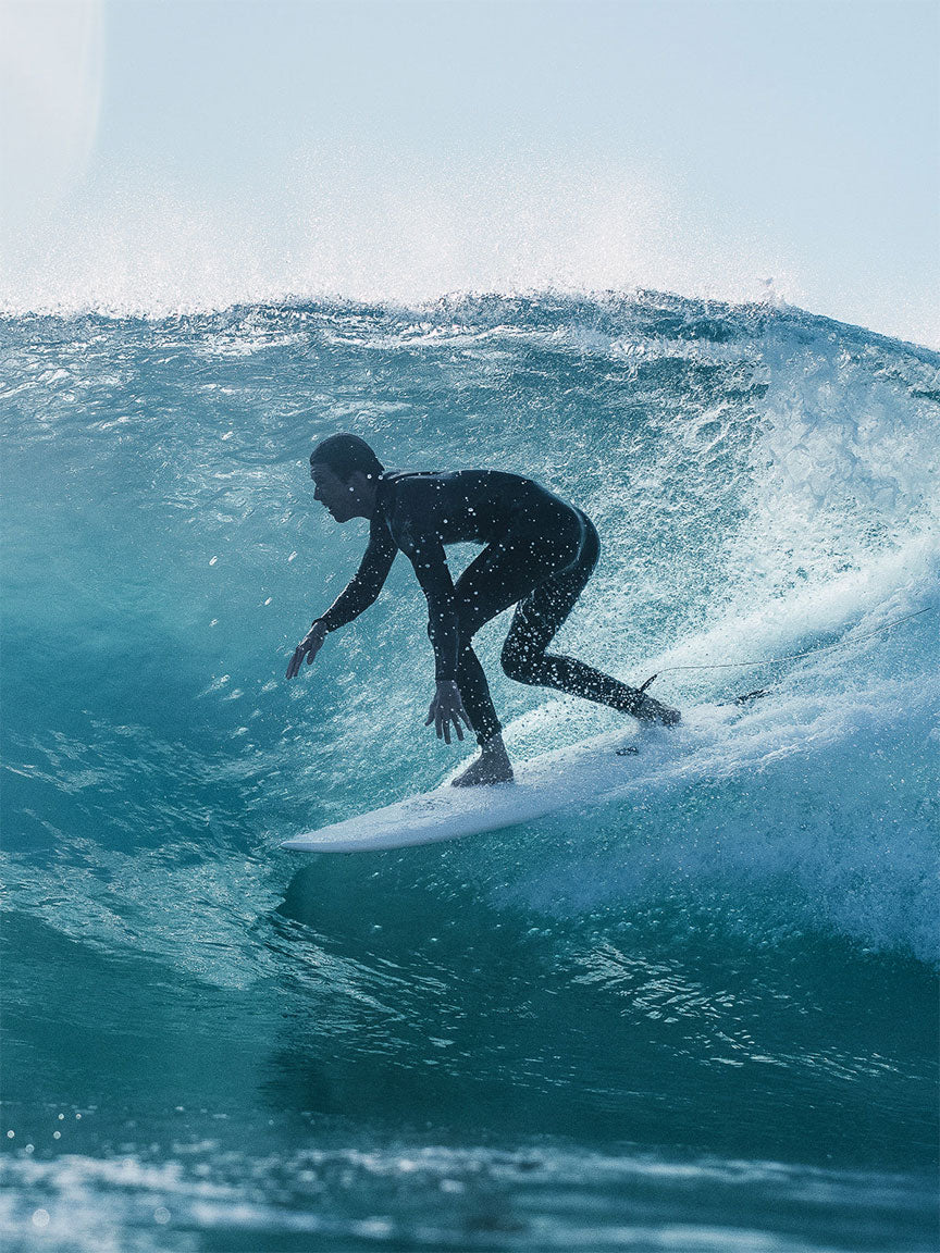 Toledo Signature - Softech Australia